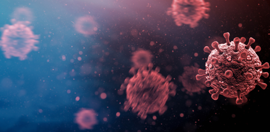 Governments must be guided by experts and evidence in pandemic ...