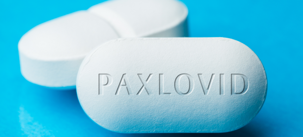 Advice to prescribers and dispensers of Paxlovid | Australian Medical ...